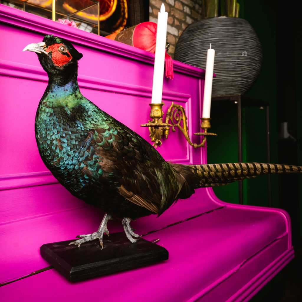 Roel Aarts – | when art rules